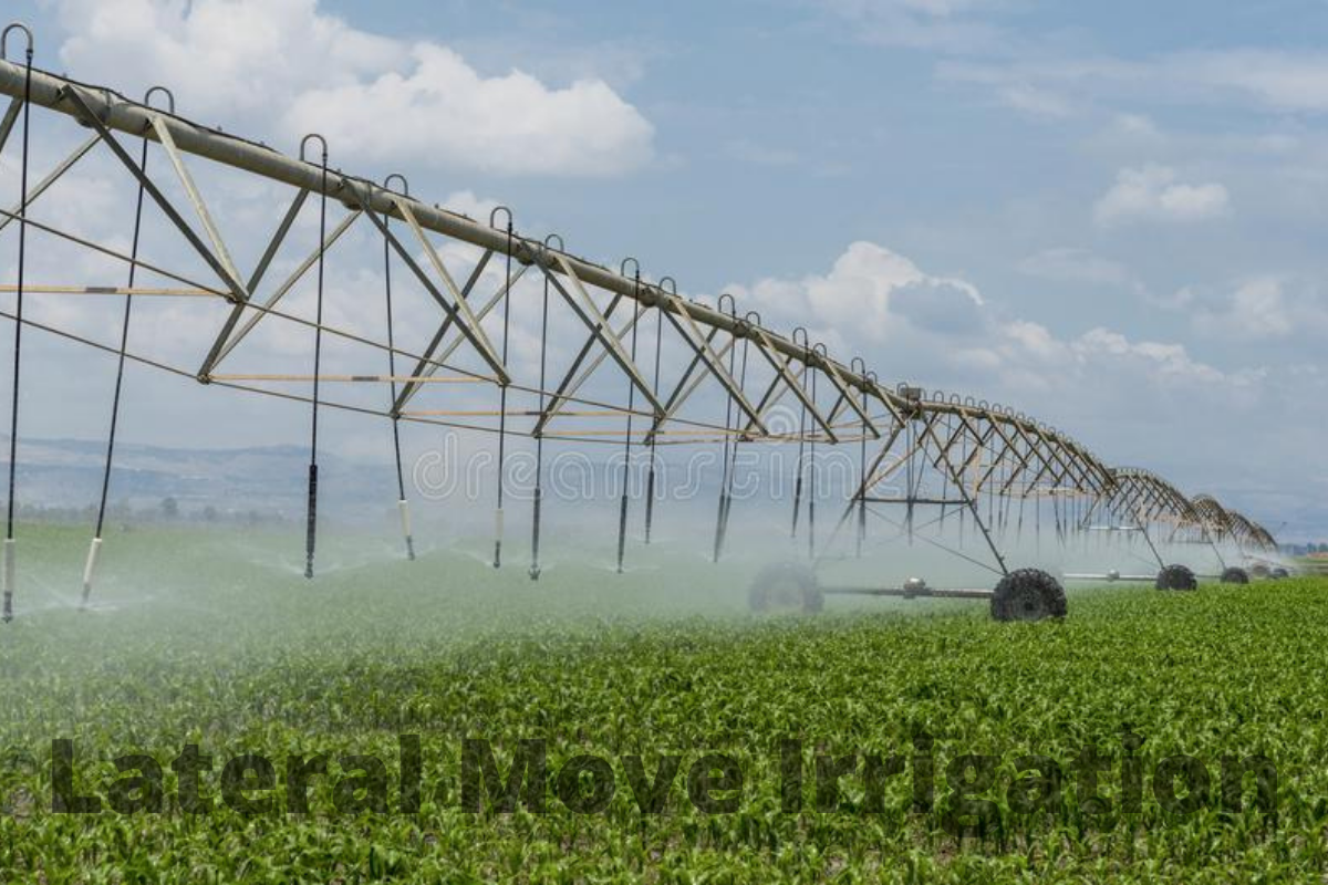 Different Types of Irrigation | Muskegon's Irrigation Company
