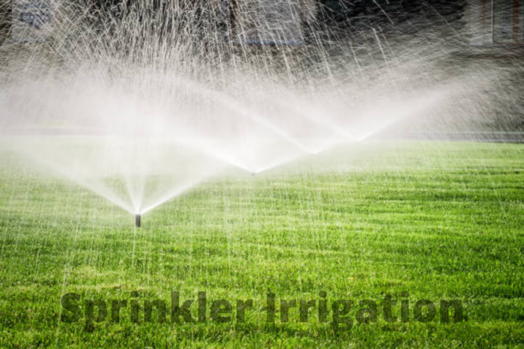 Different Types of Irrigation | Muskegon's Irrigation Company