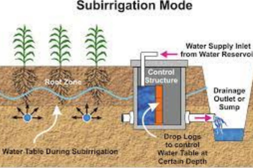 Different Types of Irrigation | Muskegon's Irrigation Company