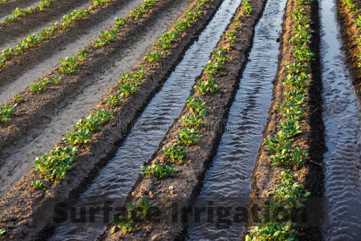 Different Types of Irrigation | Muskegon's Irrigation Company